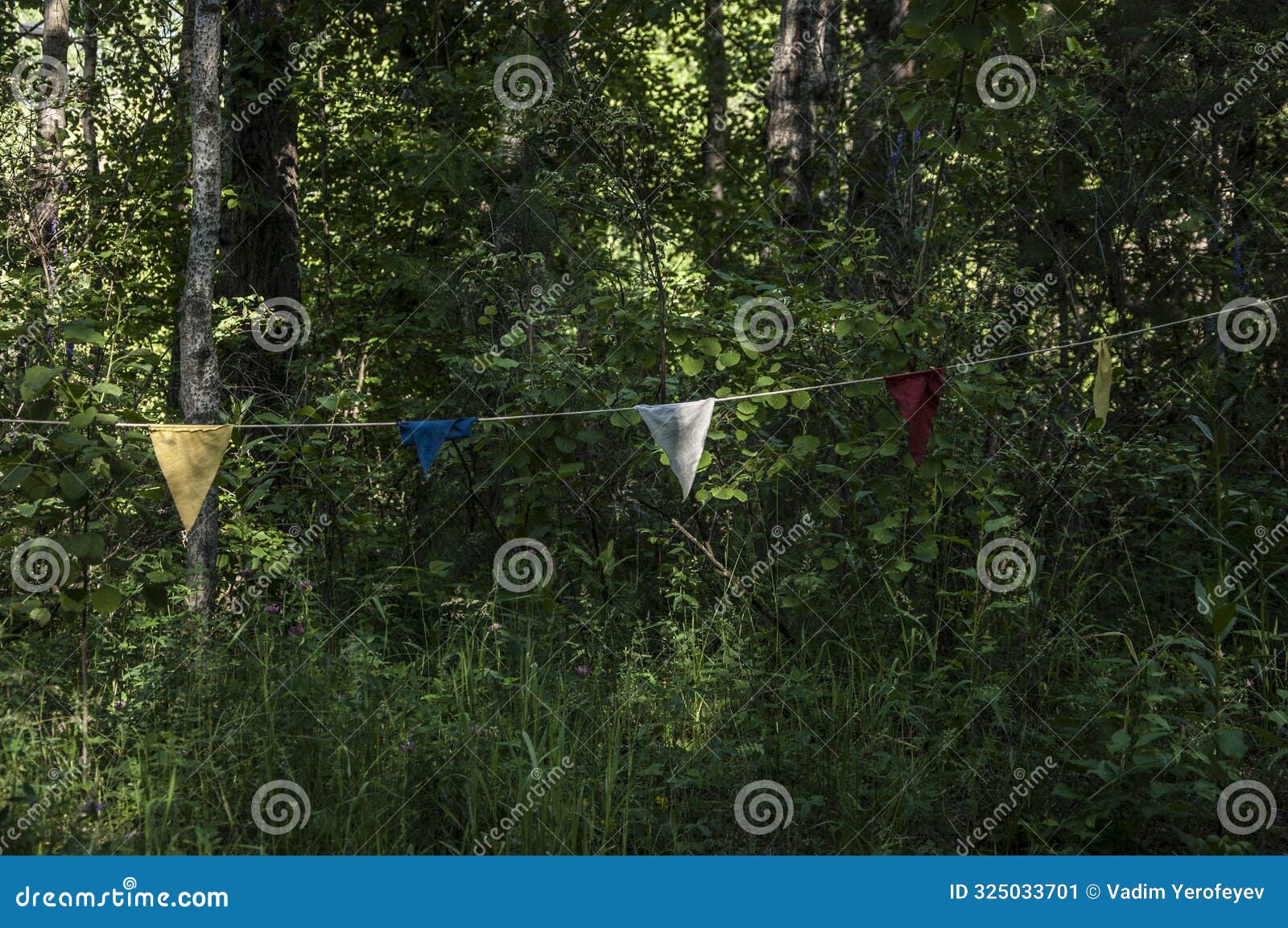 Flags Signaling the Start of a Path Stock Image - Image of carnival ...