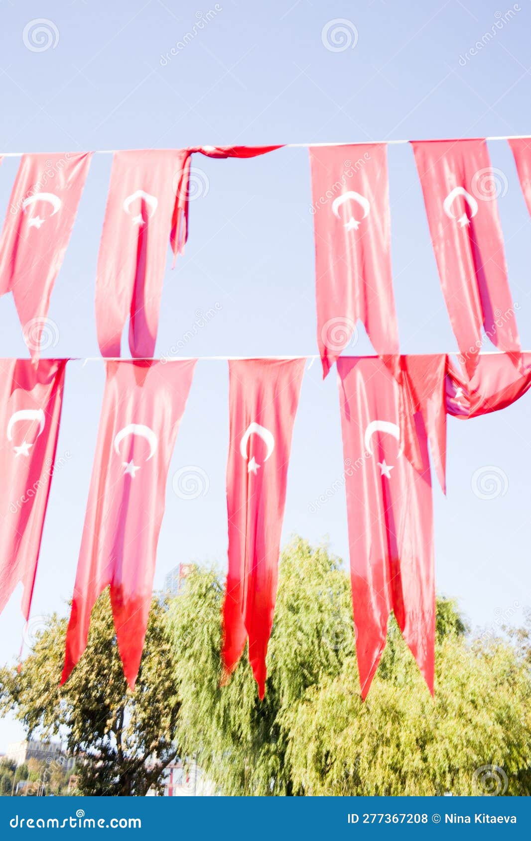 Flags of Turkey in the Street Stock Photo - Image of flag, country ...