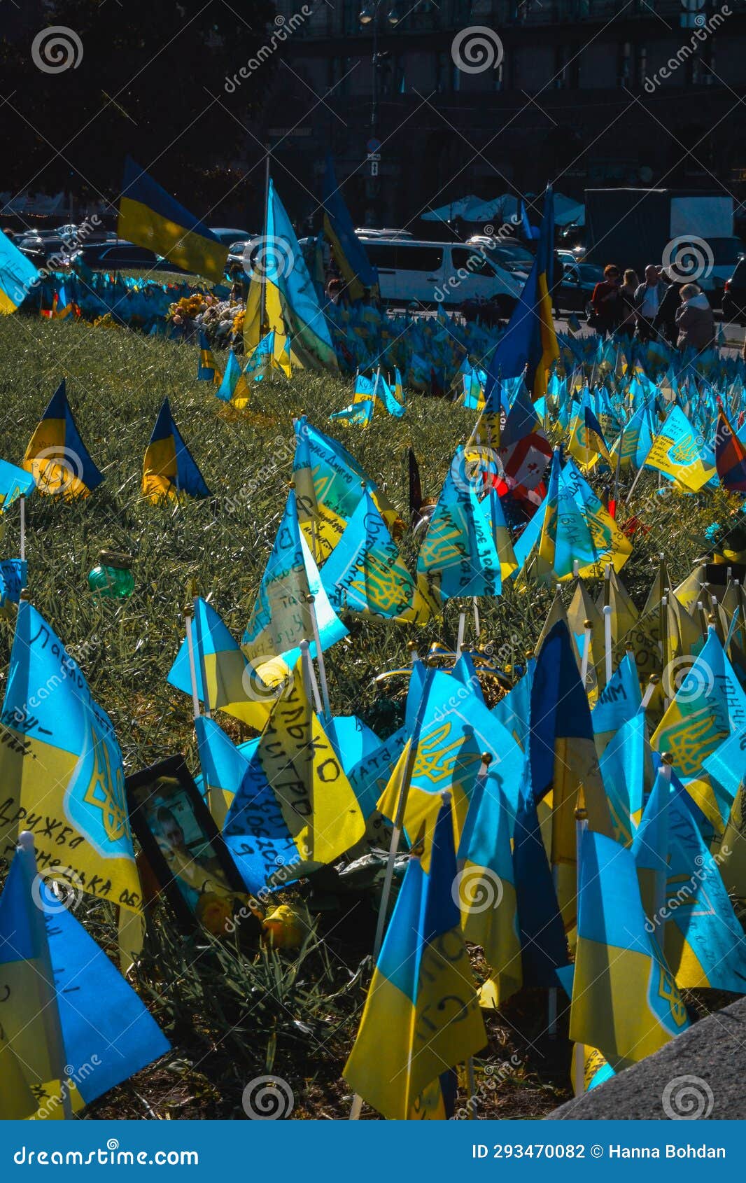 Flags of Ukraine in Memory of those Who Died in the War Editorial ...