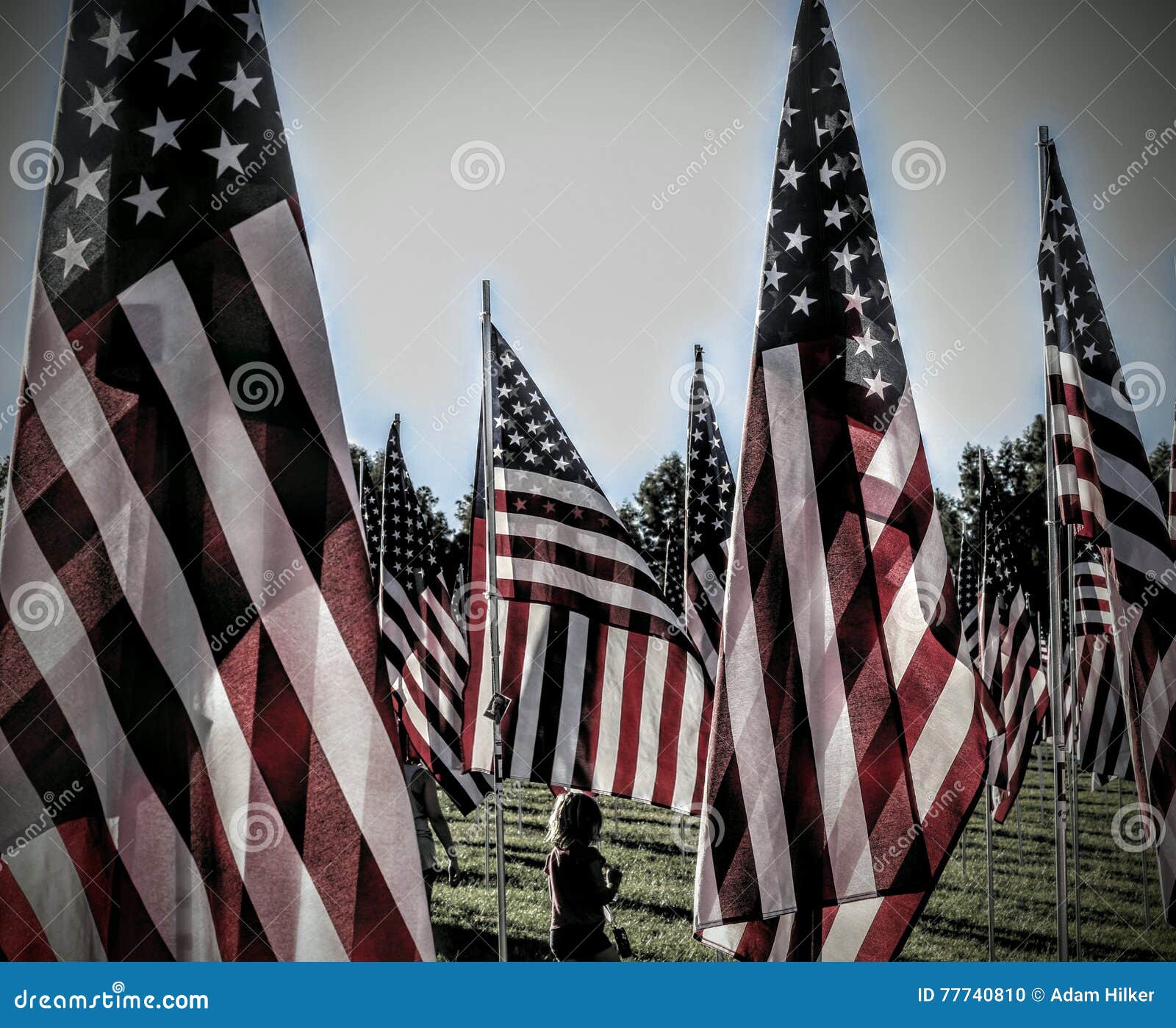 Flags of Valor stock photo. Image of forest, building - 77740810