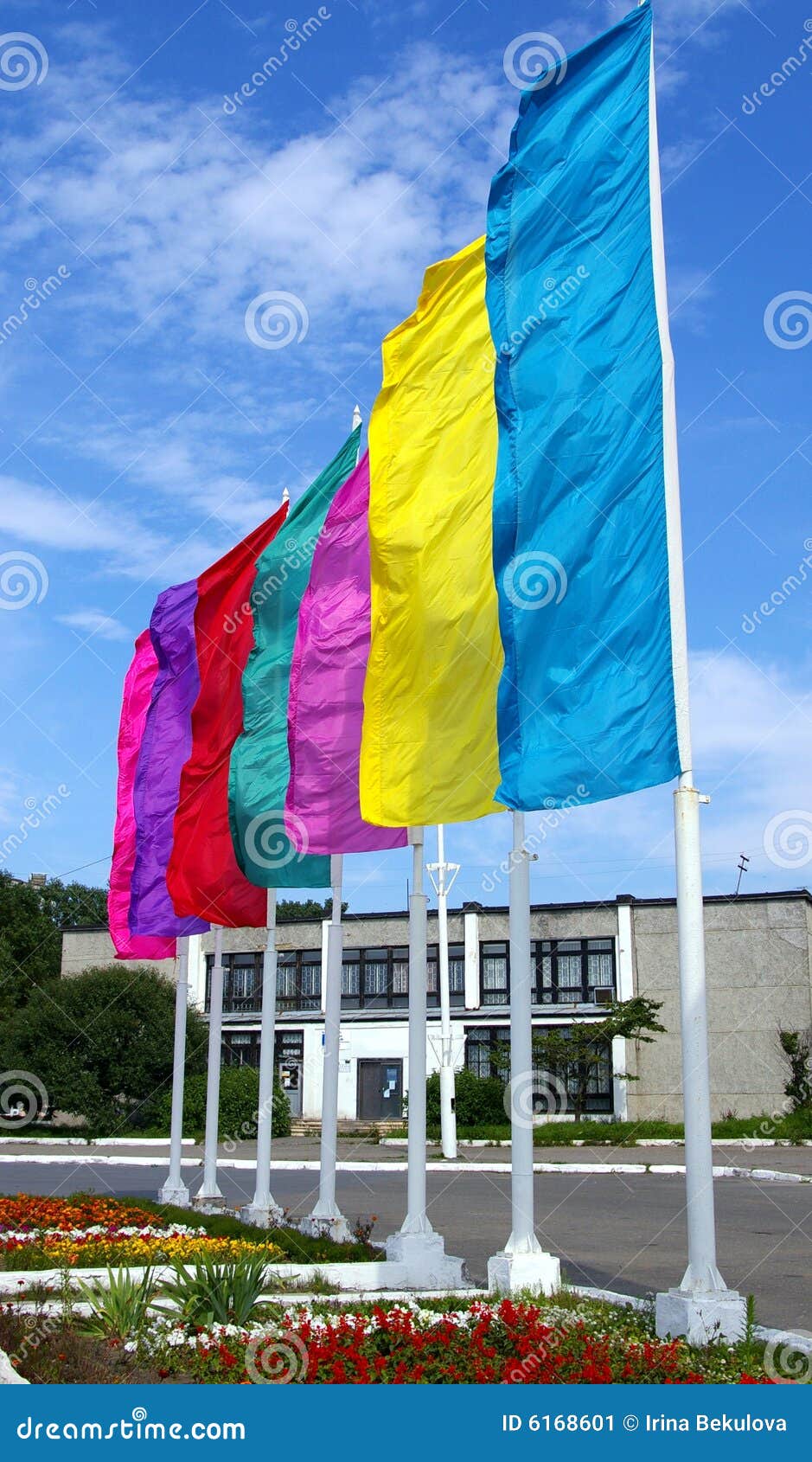 Flags on winds stock image. Image of wind, flowerses, white - 6168601