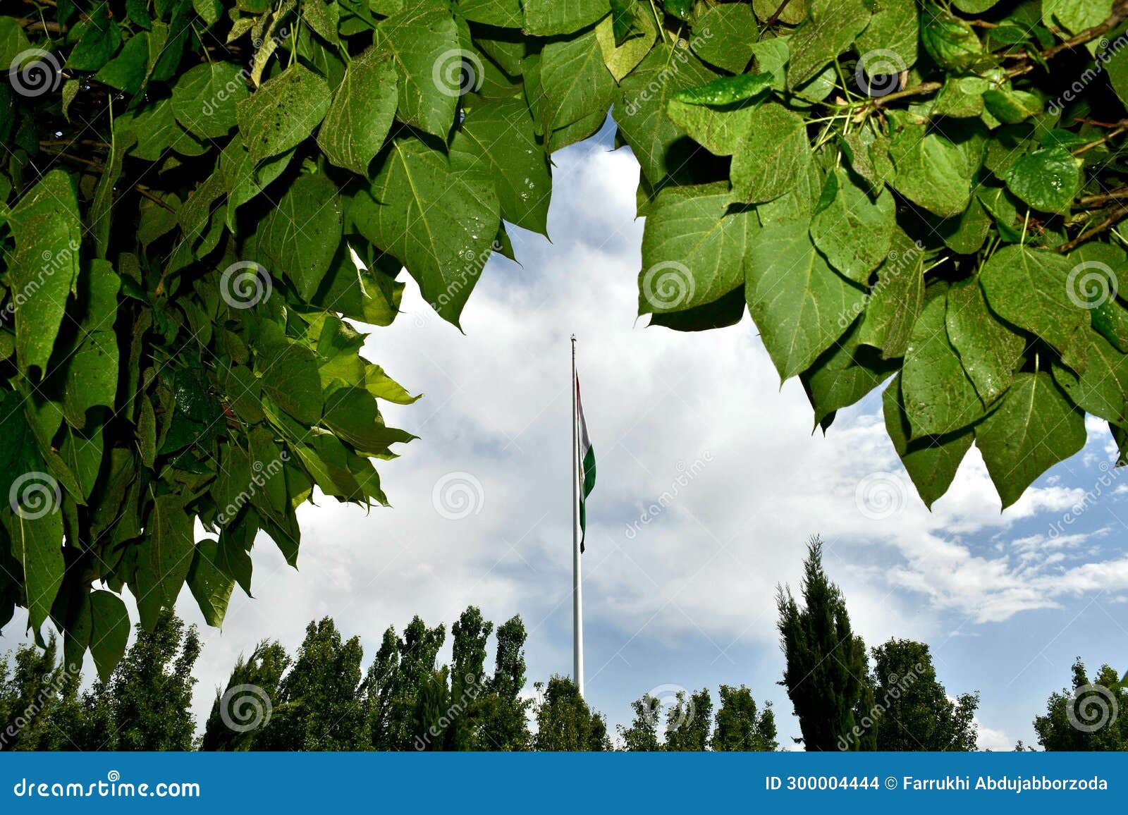Flags of the World. Plants and Flowers. FLAGPOLE. Stock Photo - Image ...