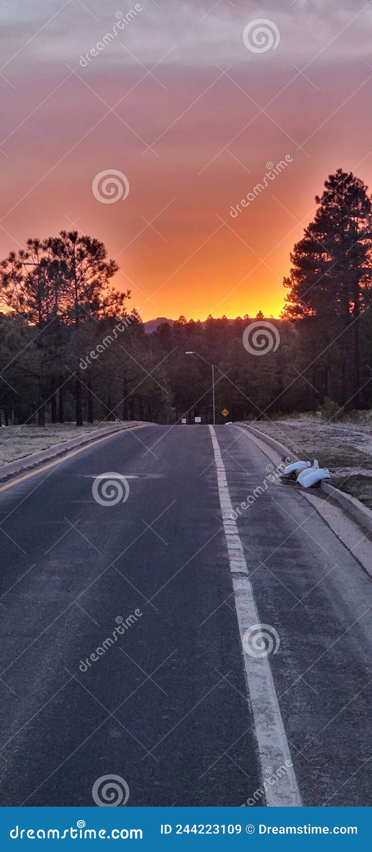 Flagstaff Arizona sunset stock image. Image of nature - 244223109