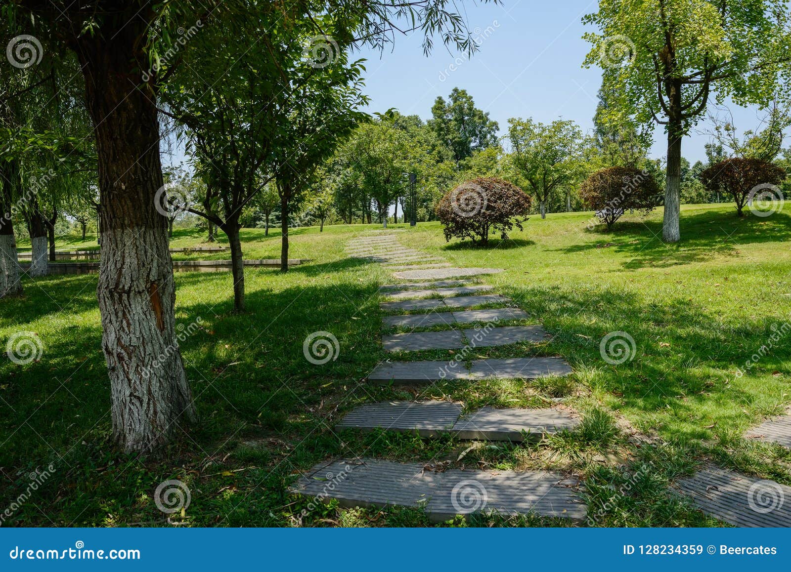 Flagstone Path in Grassy Lawn on Slope Stock Image - Image of sunny ...
