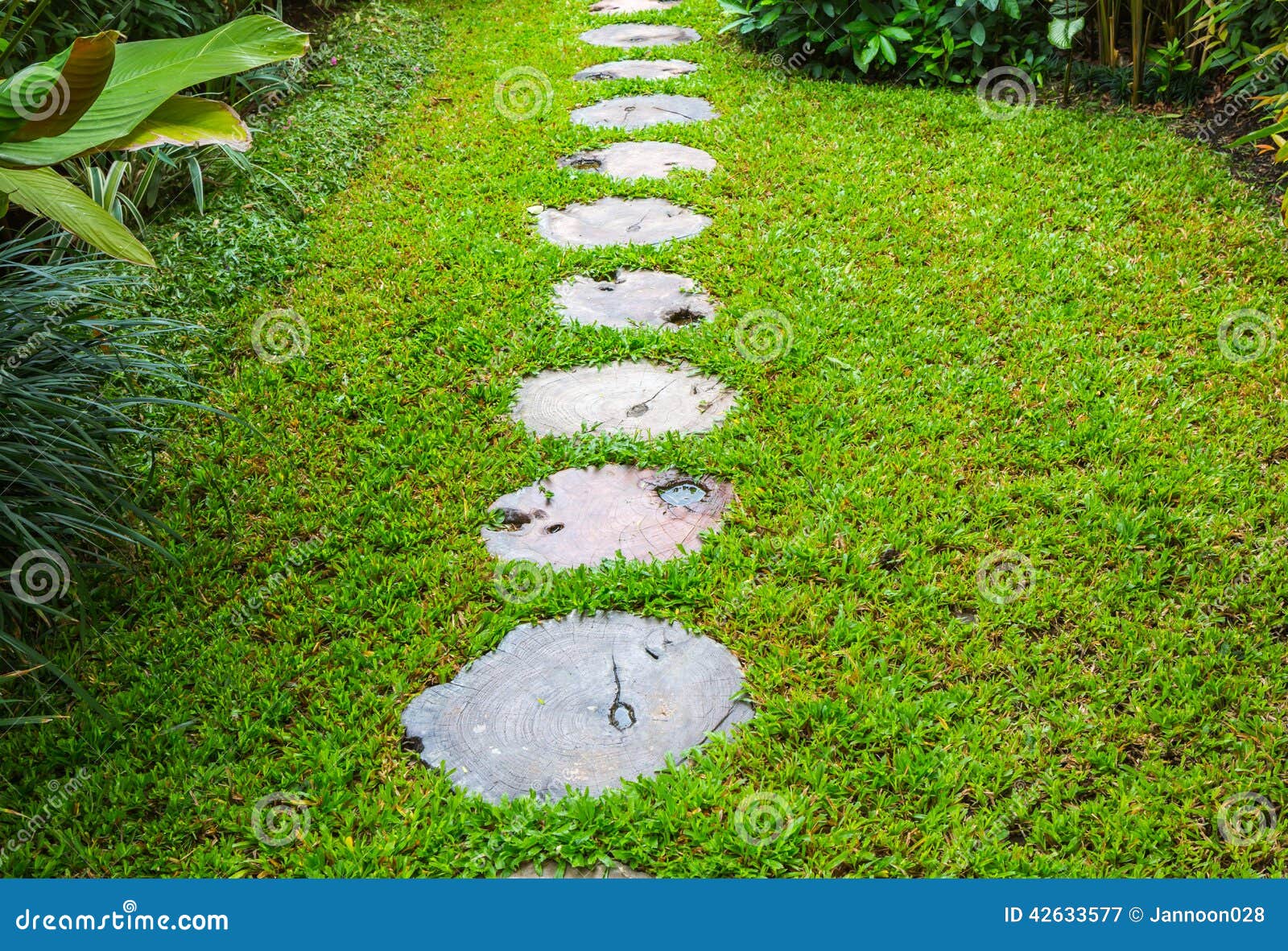 Flagstone Path In Grassy Lawn On Slope Stock Image | CartoonDealer.com ...