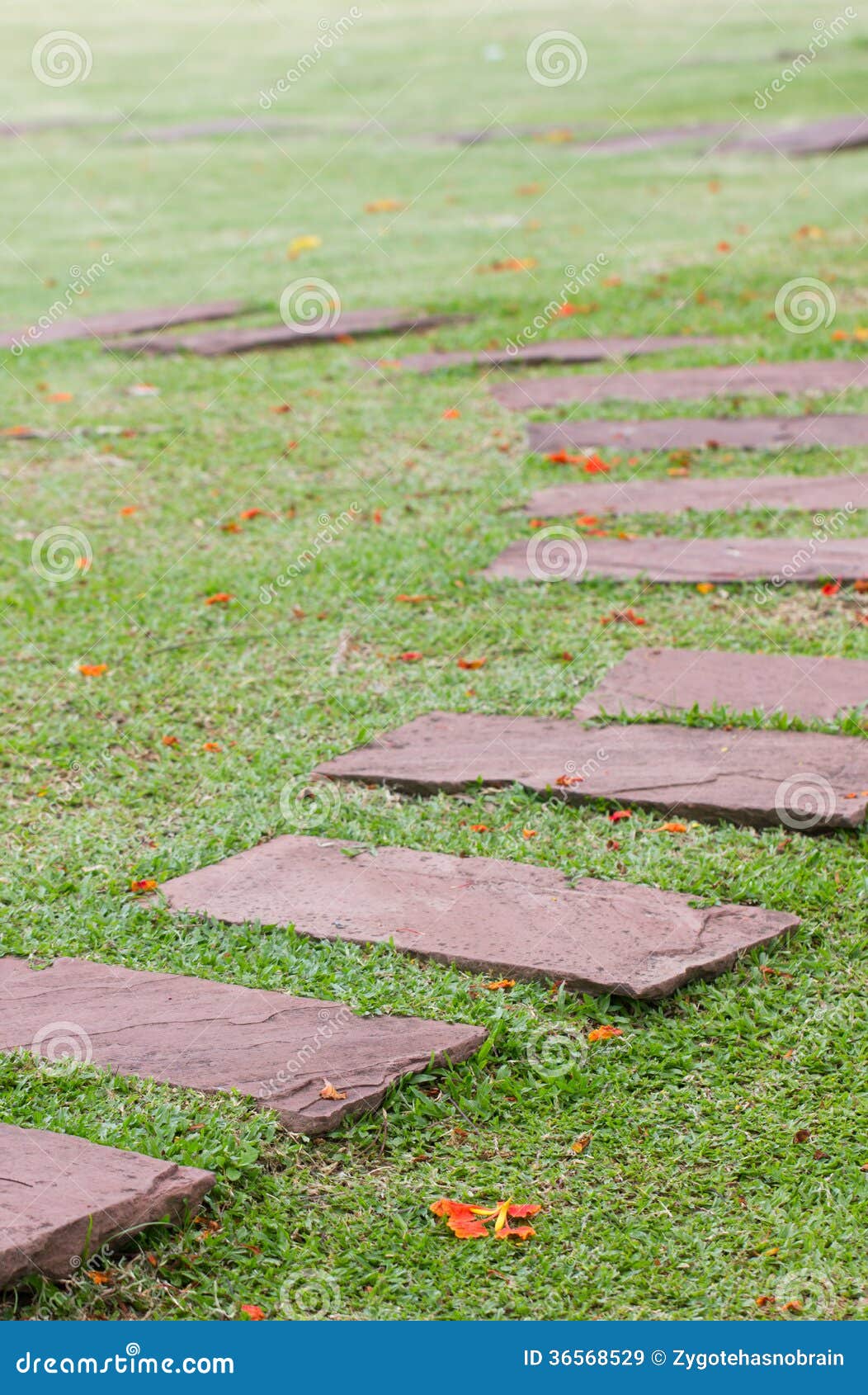 Flagstone Walkway on Green Grass. Stock Image - Image of flagstone ...