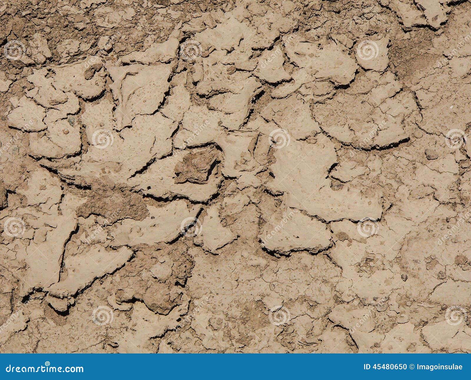 Geology. Flakes of Dried Mud Stock Photo - Image of agriculture, flakes ...