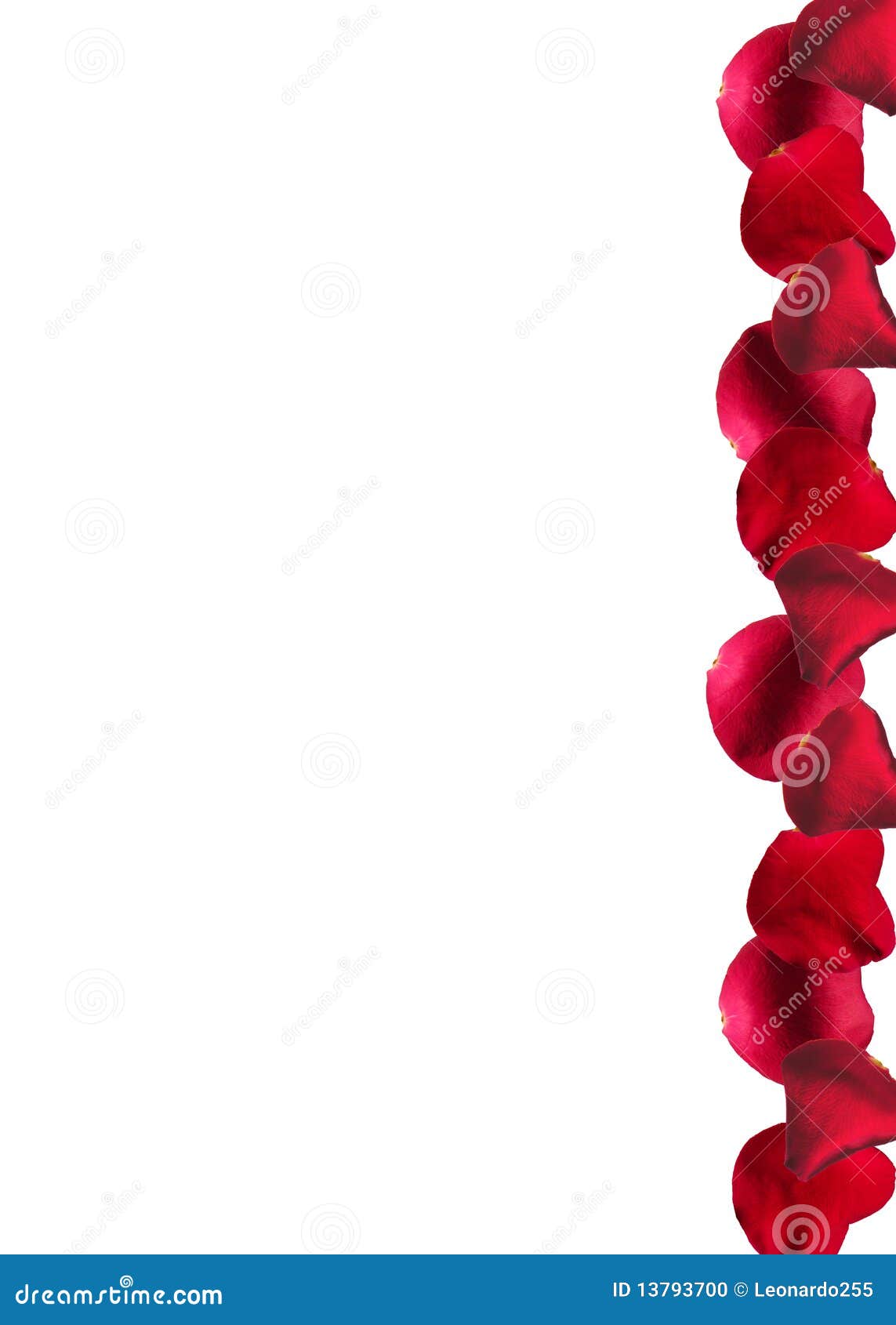 474 Rose Flakes Background Photos - Free & Royalty-Free Stock Photos ...