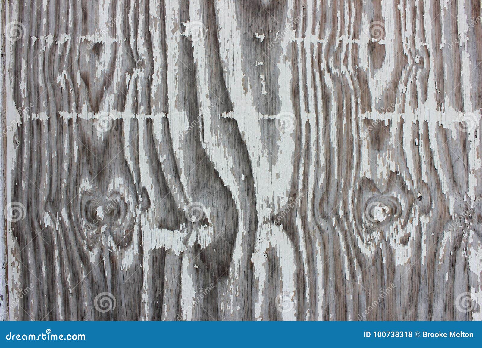 Flakey White Paint Grunge Wood Background Texture Stock Photo - Image ...