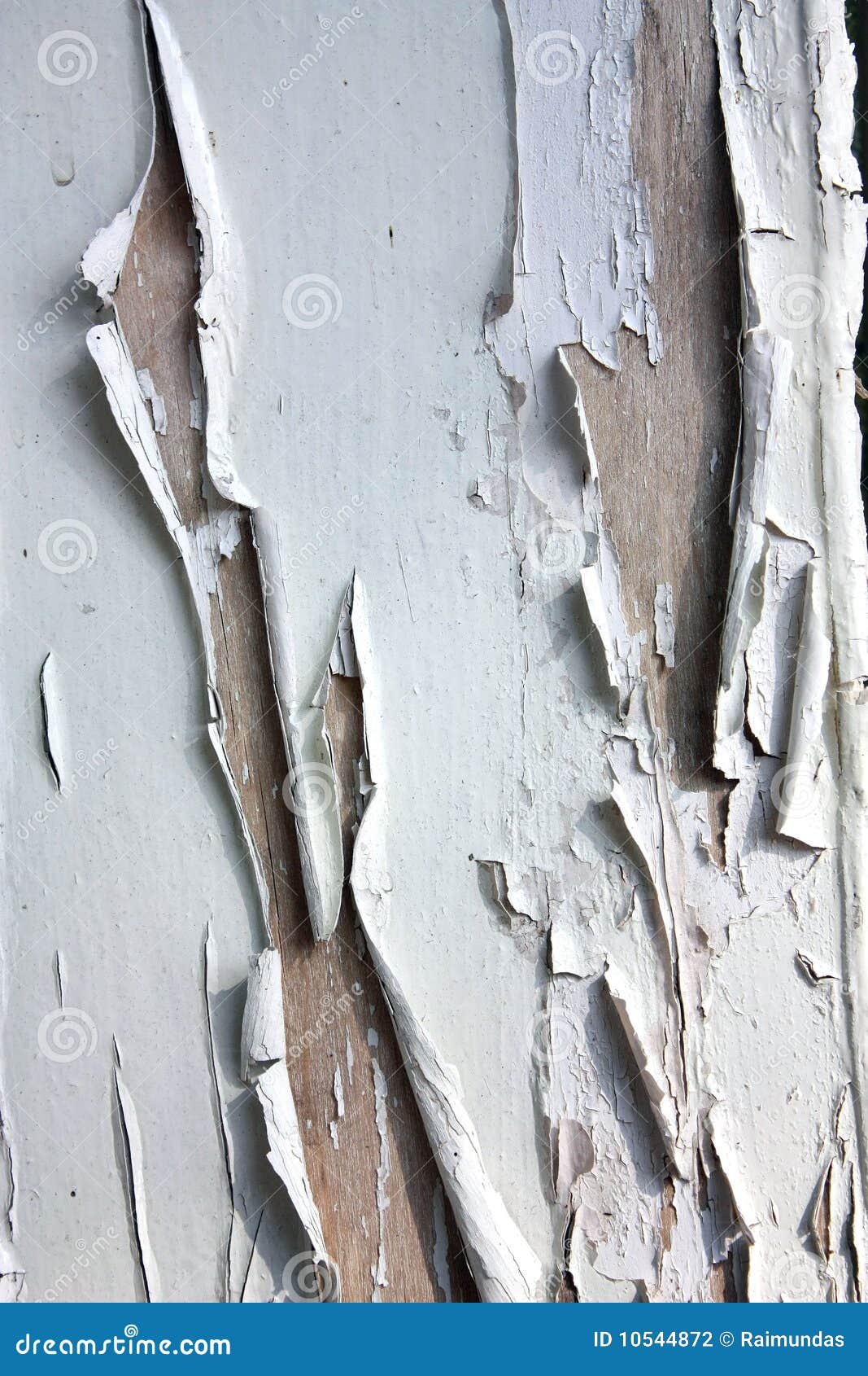 Flaking Paint stock photo. Image of contrast, pattern - 10544872