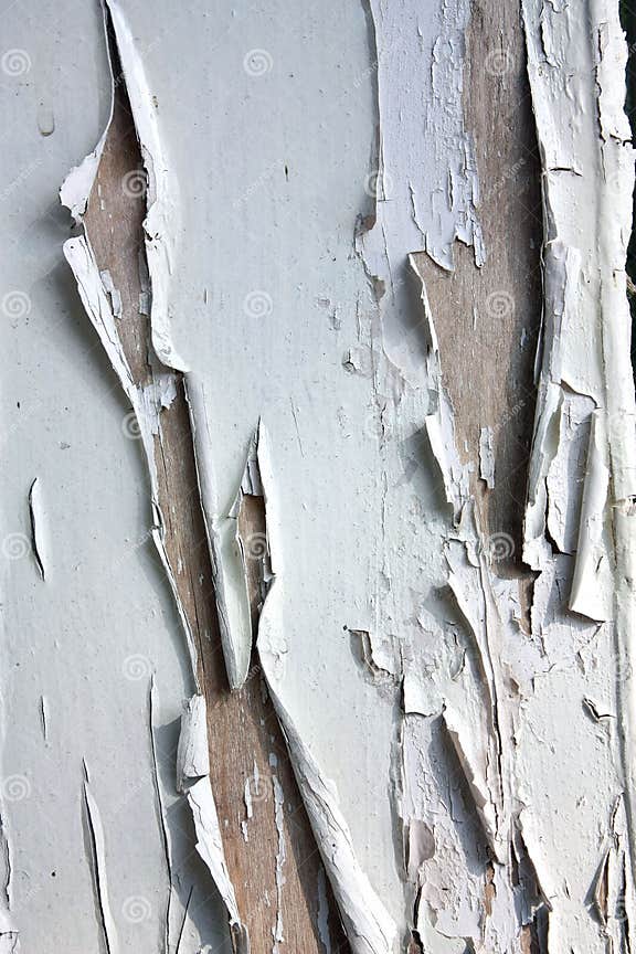 Flaking Paint stock photo. Image of contrast, pattern - 10544872