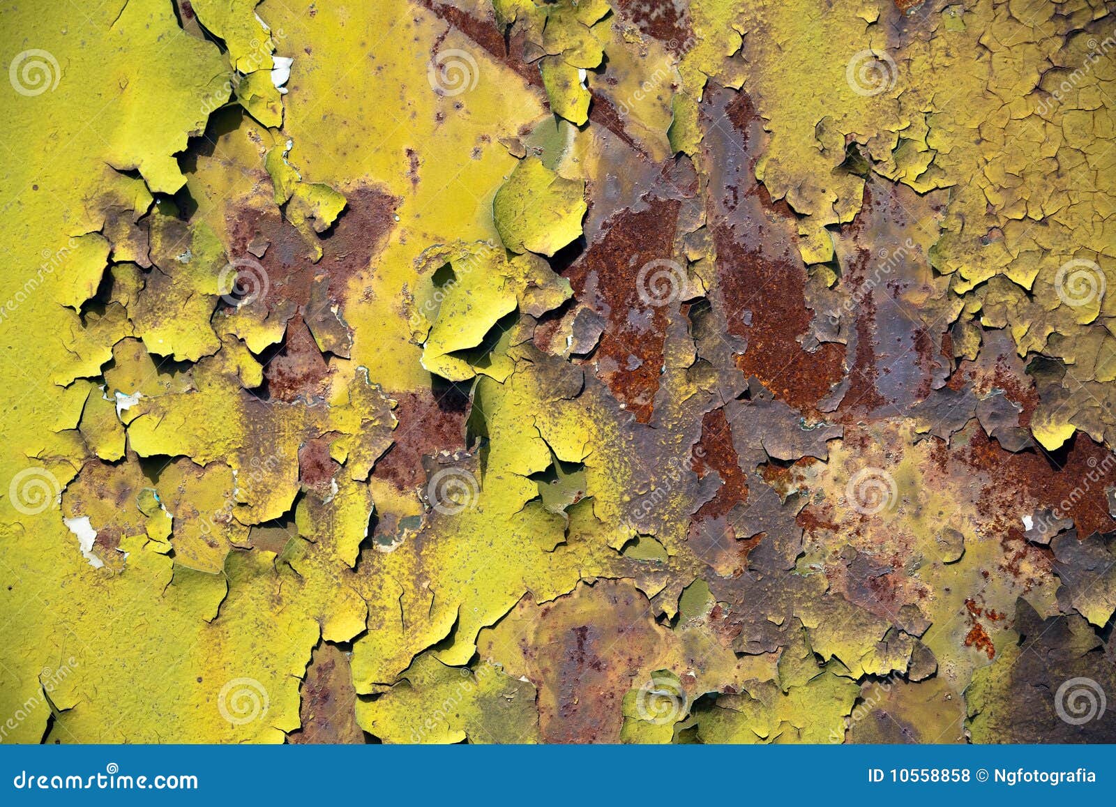 Flaking paint stock photo. Image of body, rusty, dirty - 10558858