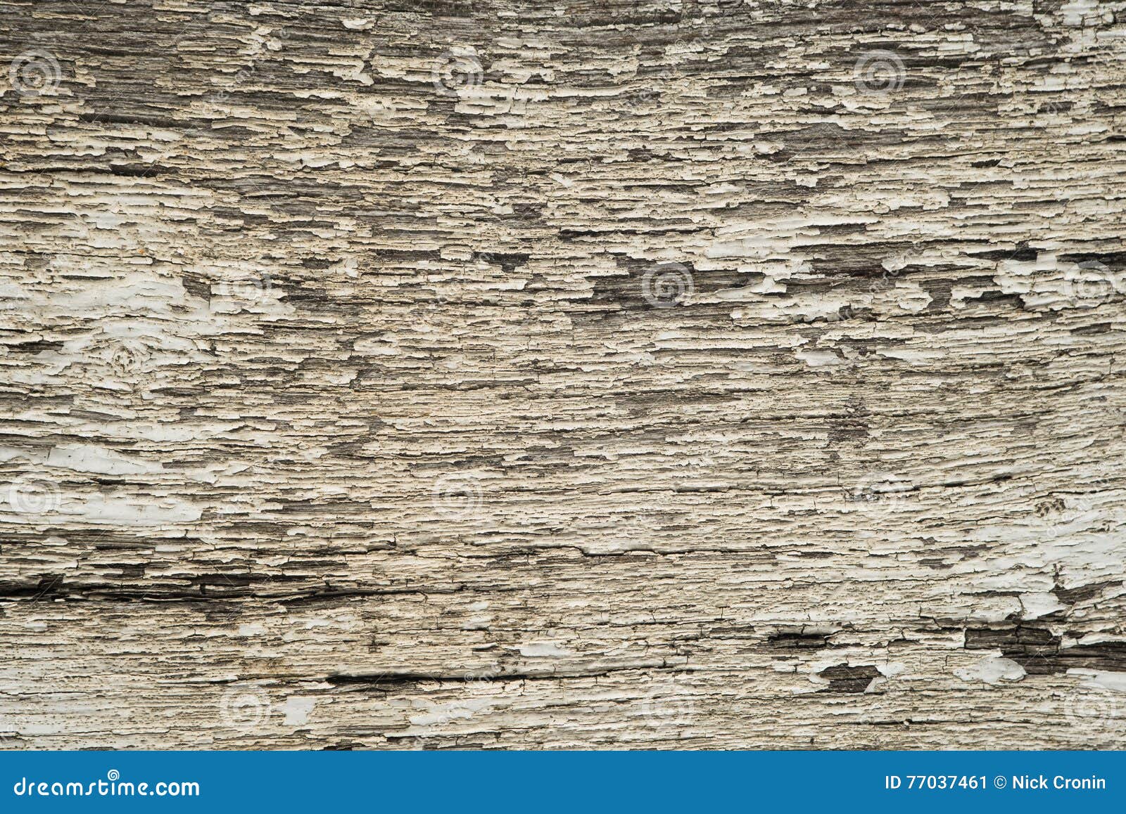 Flaking paint 7 stock image. Image of cracked, muted - 77037461