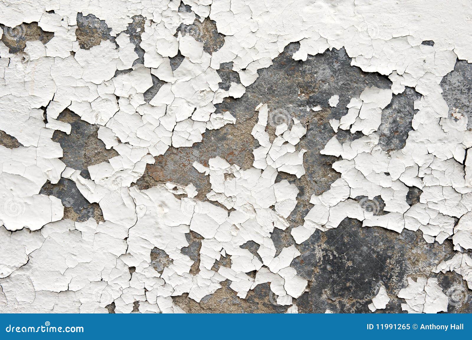 Flaking Paint On Exterior Wall at Charlie Gladys blog