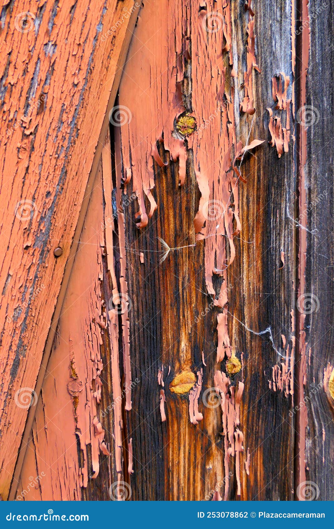 Flaky Paint stock photo. Image of dirty, shutter, rough - 253078862