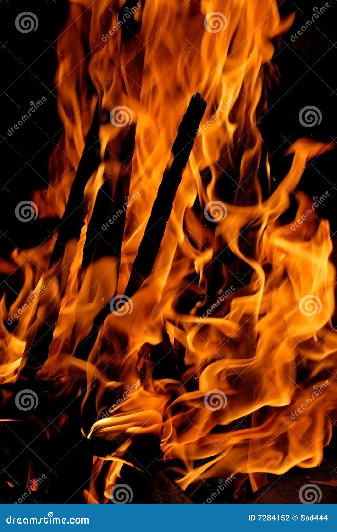 42,753 Hot Material Stock Photos - Free & Royalty-Free Stock Photos ...