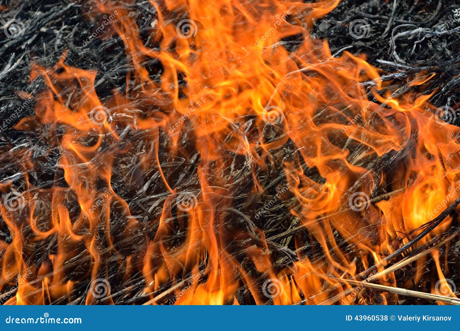 Flame and ash 7 stock photo. Image of light, horizontal - 43960538