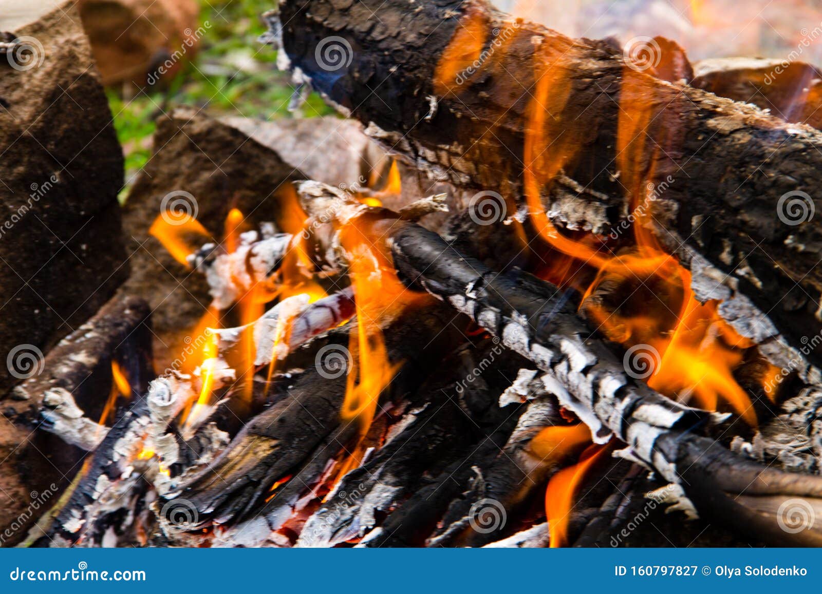 Flame of Bonfire. Burning Firewood in the Fireplace Closeup Stock Image ...