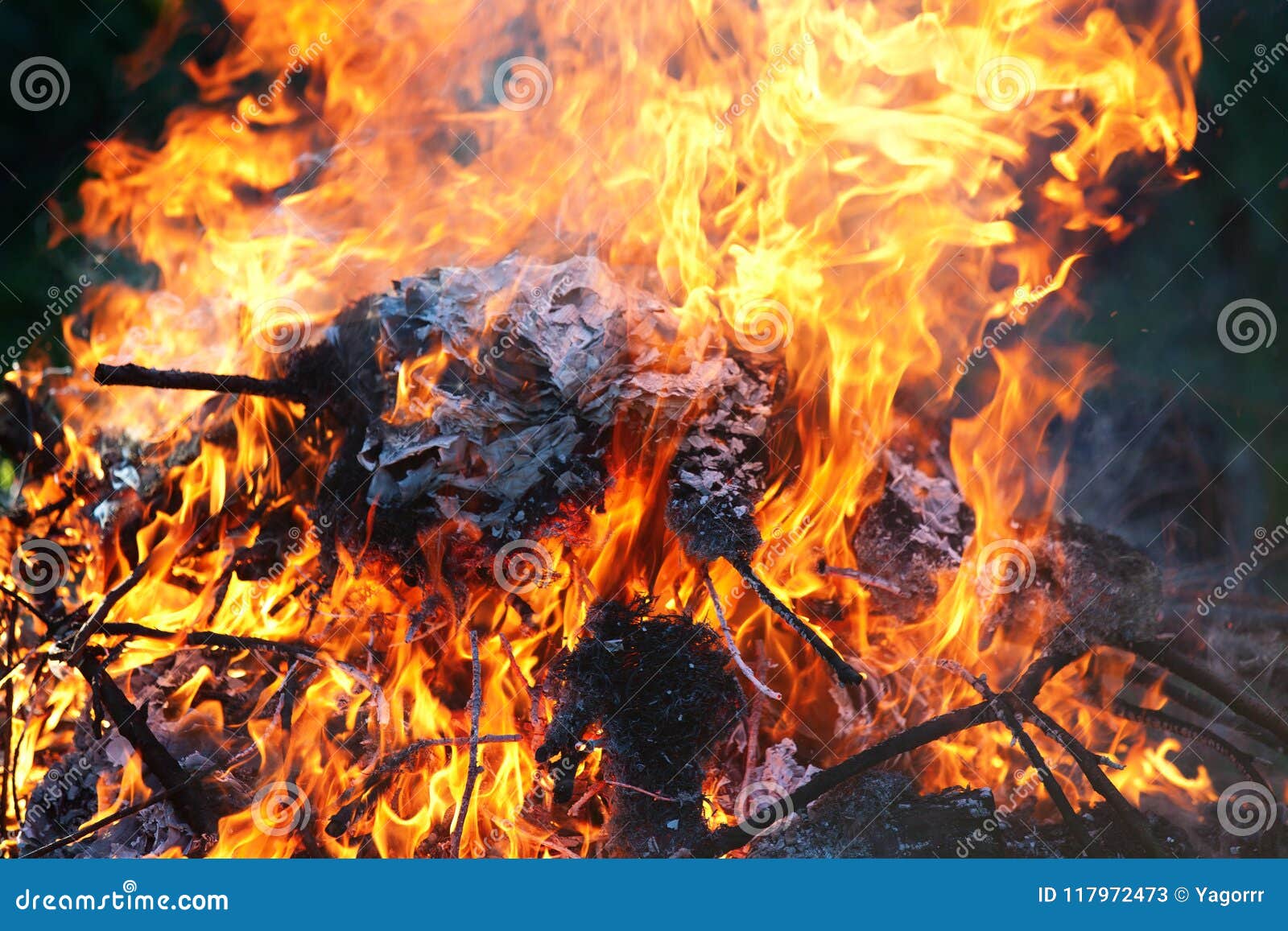 Flame of Bright Forest Fire Stock Image - Image of flame, color: 117972473