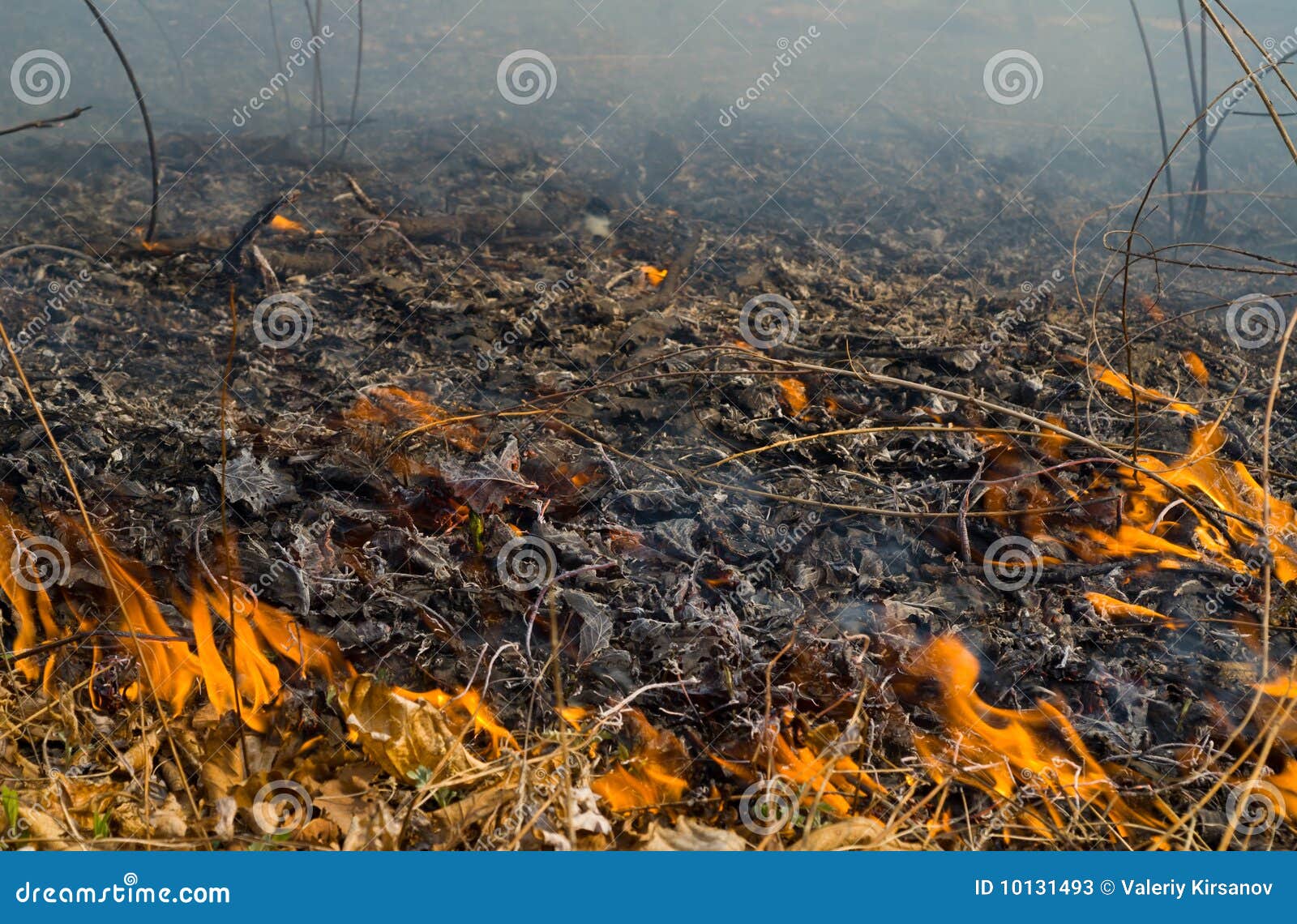 Flame of Brushfire 13 stock image. Image of color, fire - 10131493