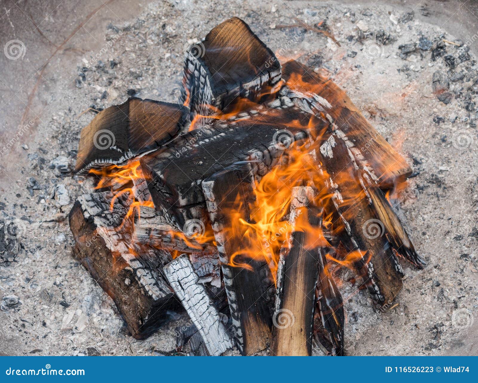 The Flame of Burning Firewood in Bonfire Stock Image - Image of ...