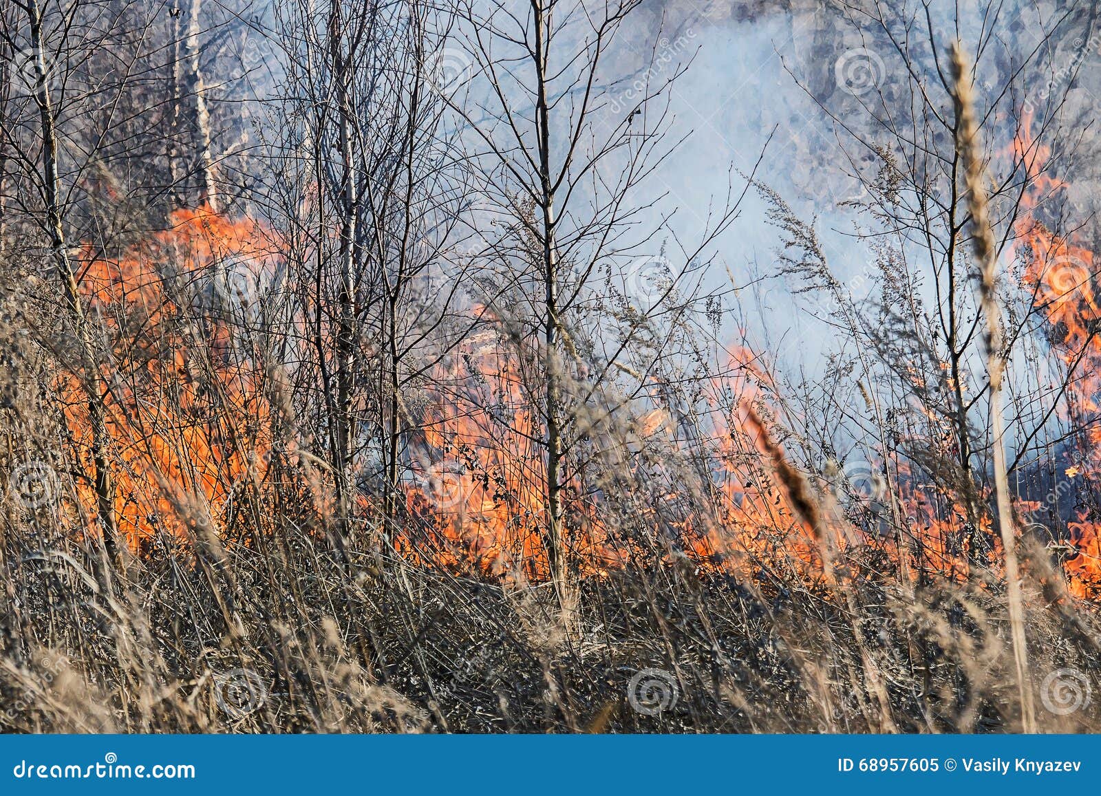 Flame burns dry vegetation stock image. Image of flame - 68957605