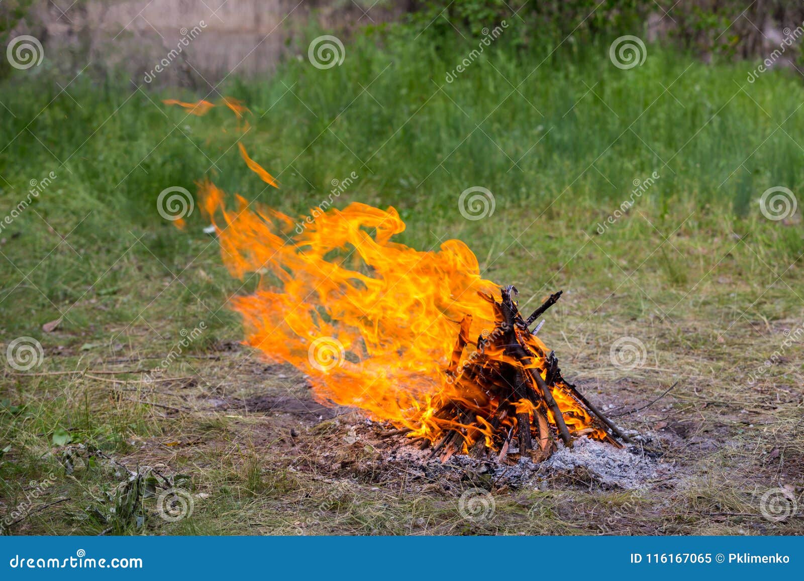 Burning Fire on Green Meadow Stock Image - Image of fire, warm: 116167065