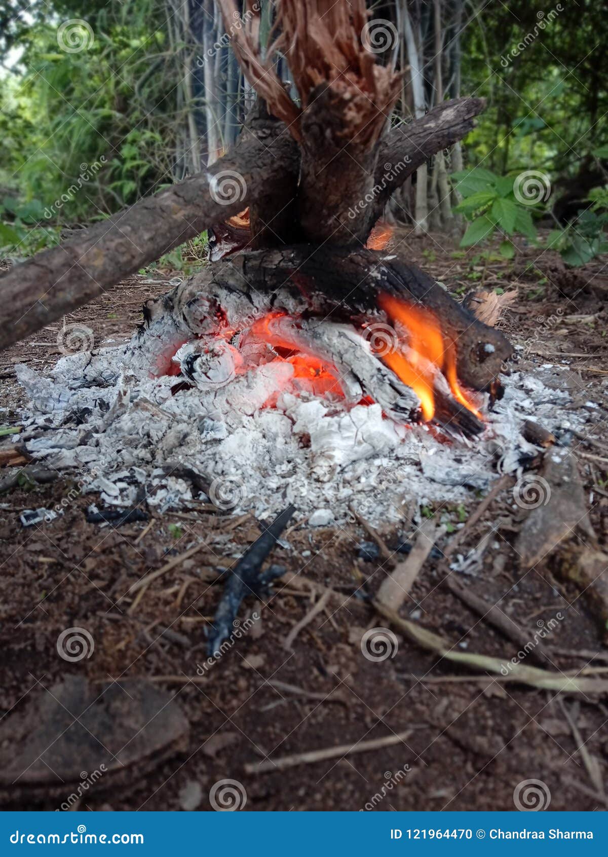 Flame stock photo. Image of wood, cool, burning, beautiful - 121964470