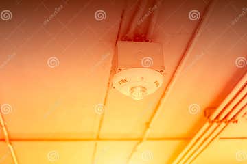 Flame Detector Device Hot Fire and Smoke Sensor at Ceiling Roof Stock ...