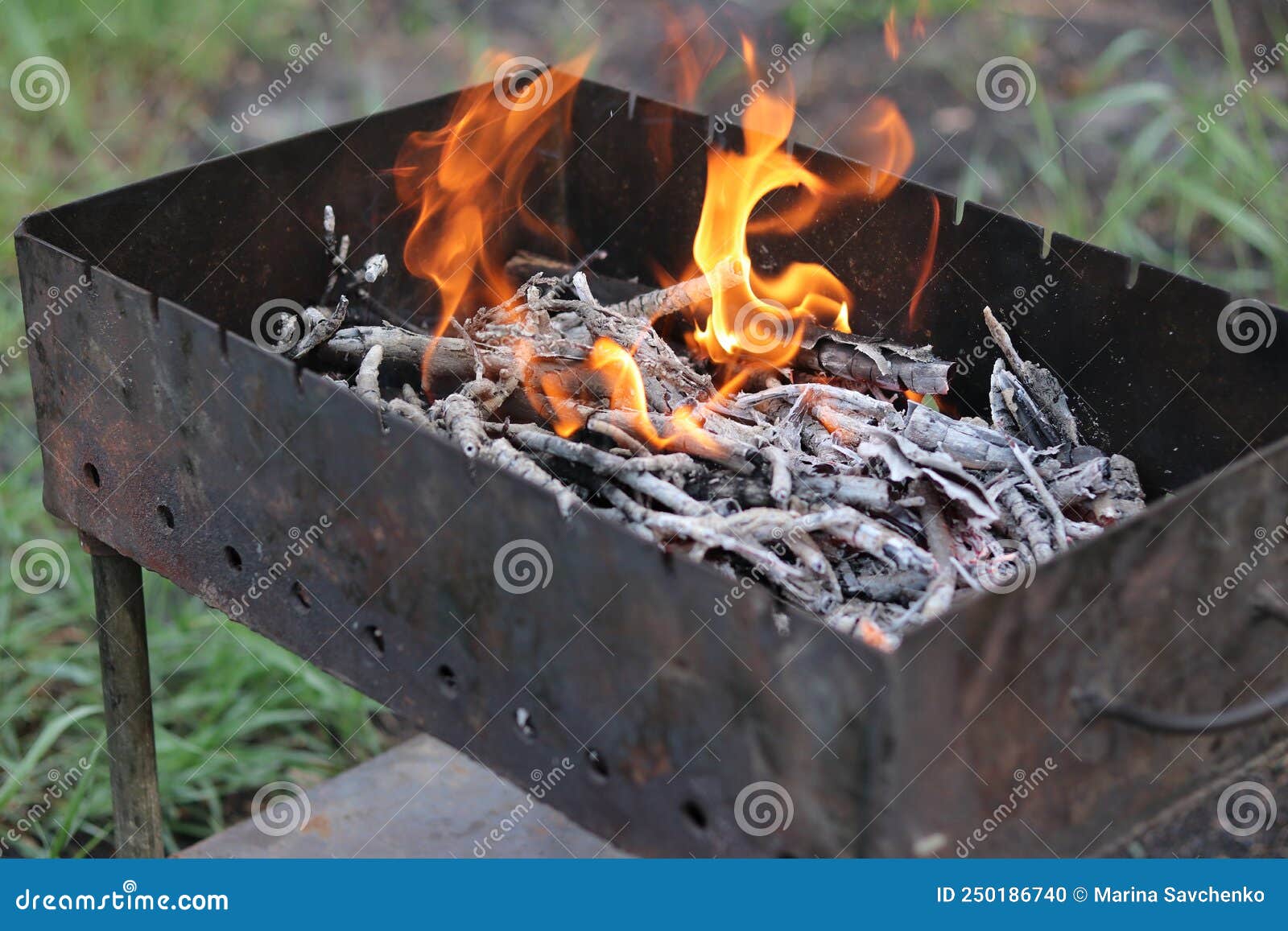 The Flame of Fire in the Barbecue, in the Country Stock Photo - Image ...