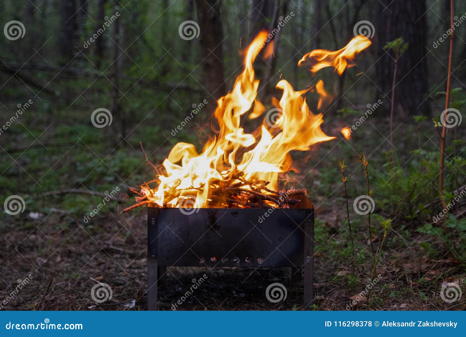 Flame of a Fire in a Barbecue in a Green Forest Stock Photo - Image of ...