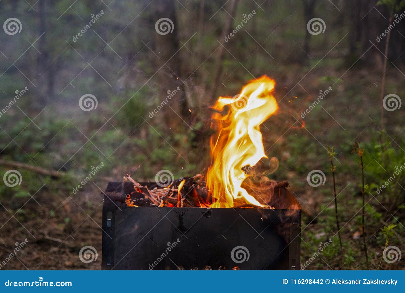 Flame of a Fire in a Barbecue in a Green Forest Stock Photo - Image of ...