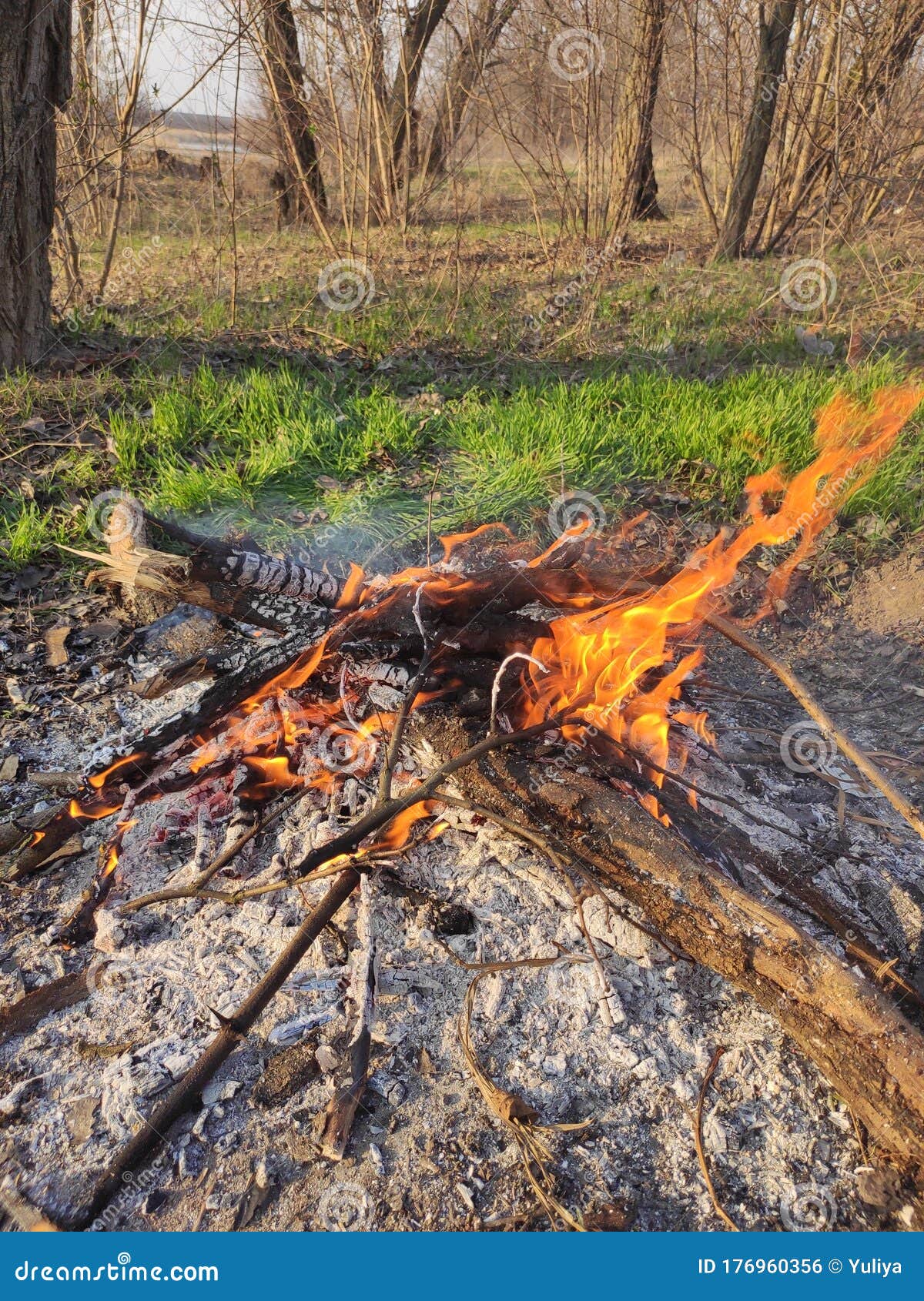 Flame of Fire. Bonfire in the Nature. Bonfire in the Forest Stock Photo ...