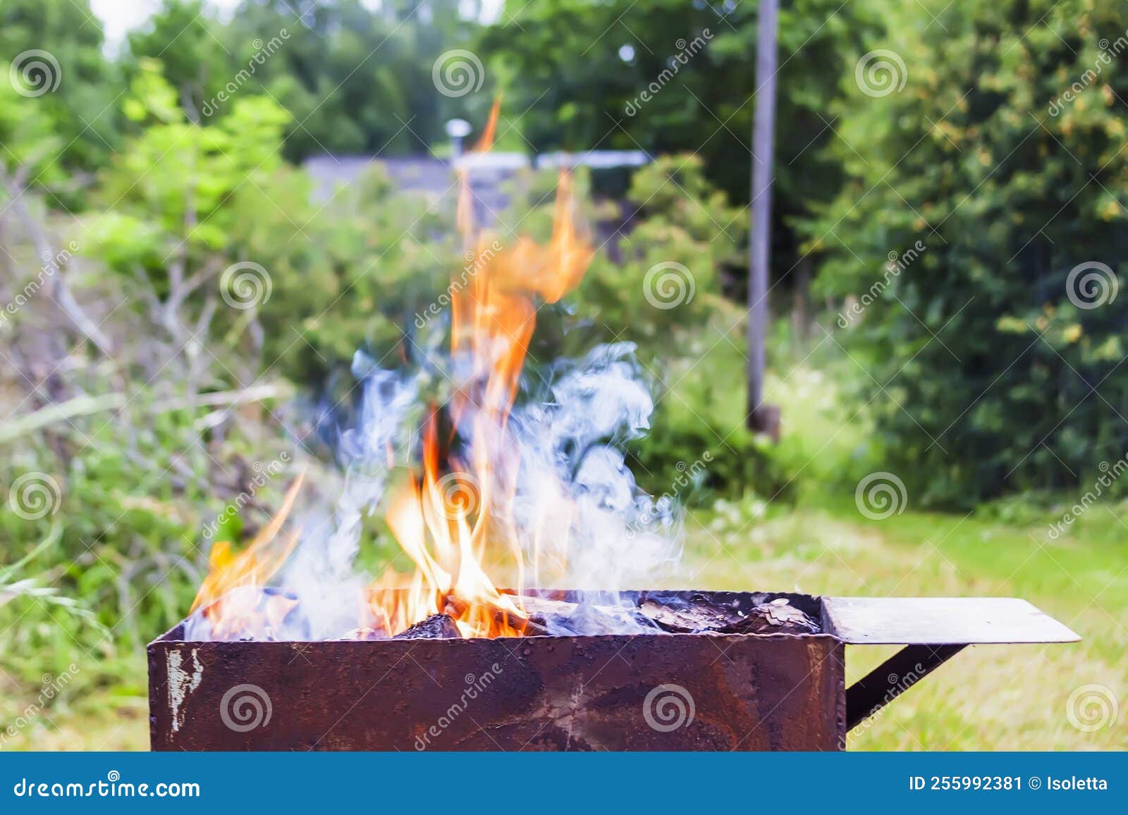 Flame of Fire Burning in the Brazier Stock Image - Image of night, burn ...