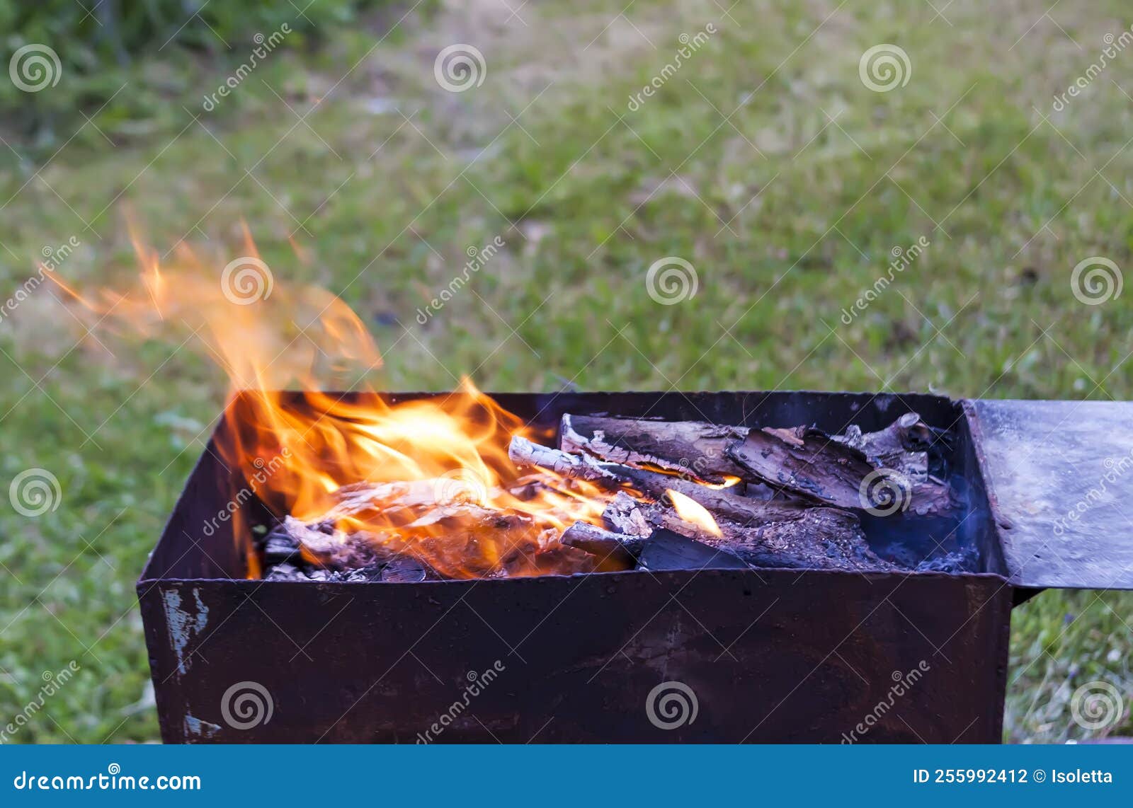 Flame of Fire Burning in the Brazier Stock Photo - Image of grill, cook ...