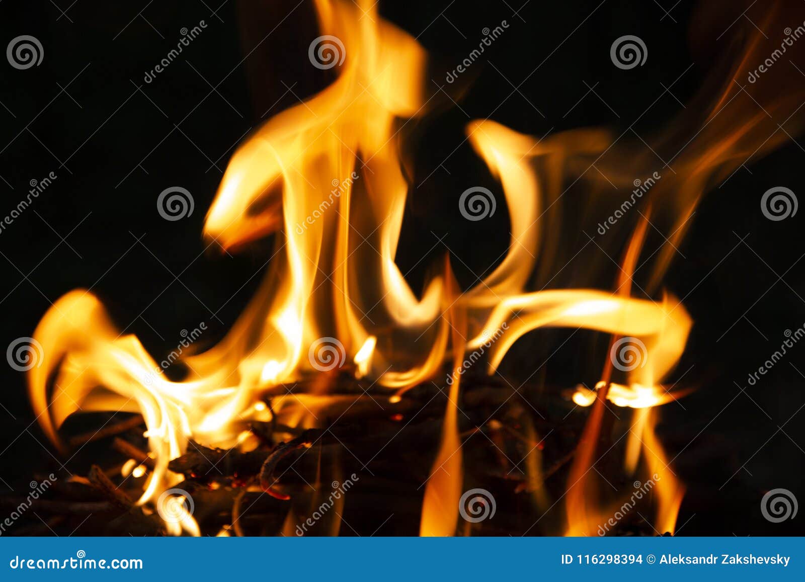 Flame of Fire on a Dark Night Stock Photo - Image of blaze, dark: 116298394