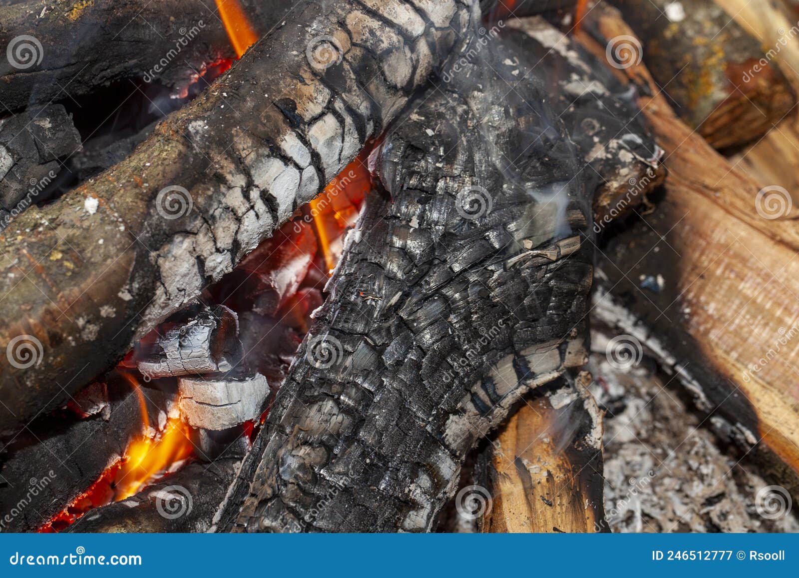 The Flame from the Fire during Its Kindling Stock Image - Image of ...