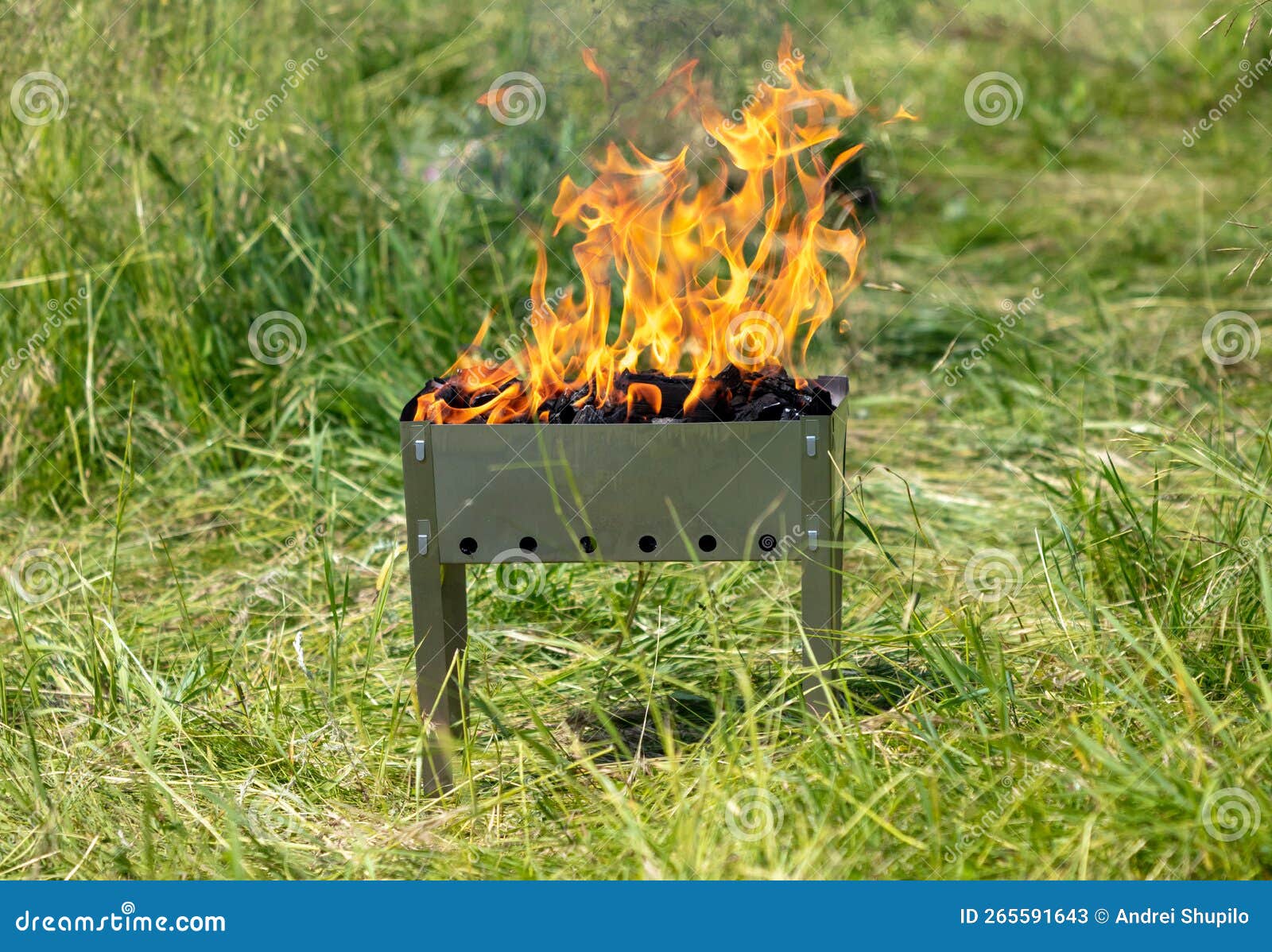 A Flame of Fire from a Metal Brazier Standing on Green Grass Stock ...