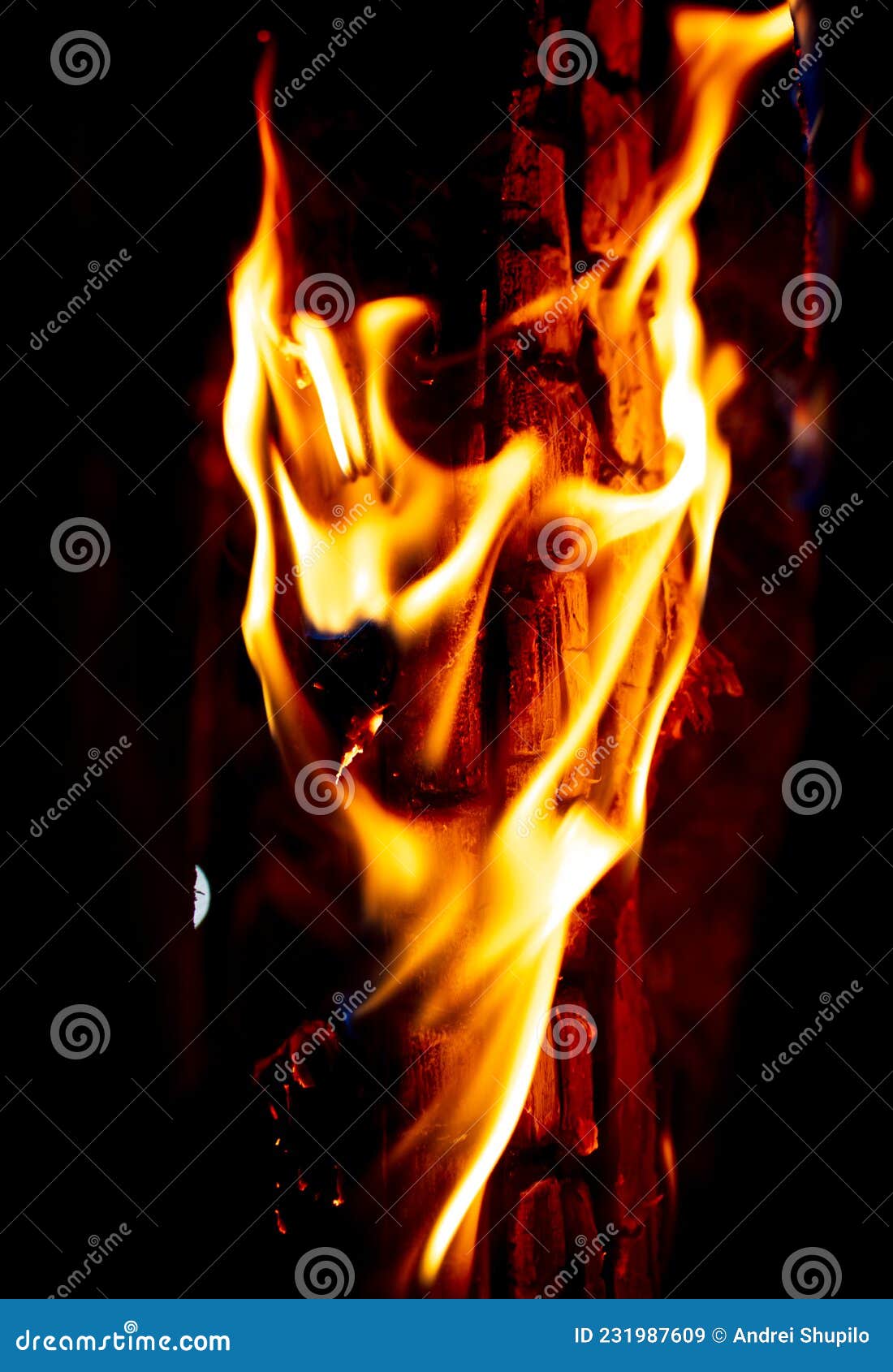 Flame of Fire in Motion at Night. Stock Image - Image of closeup, warm ...