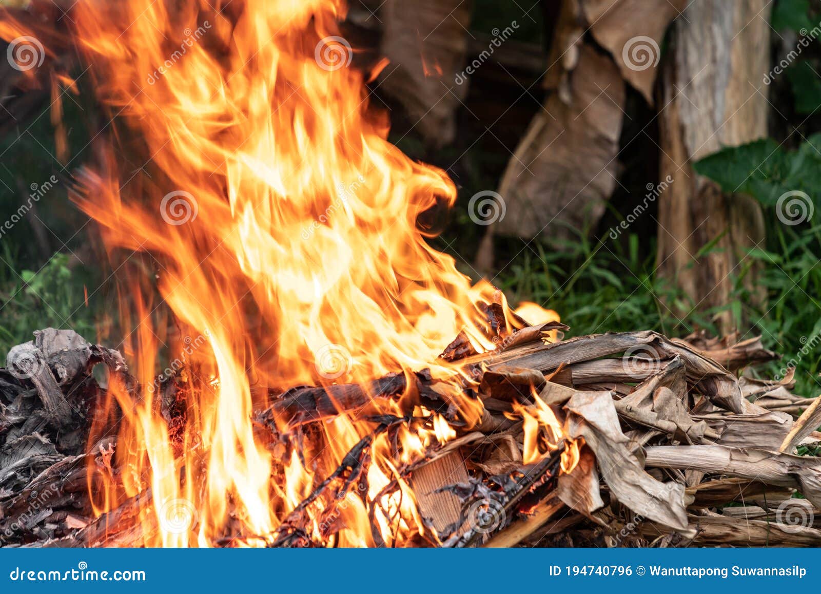 Flame Fire and Smog is Burning Garbage or Waste. Incineration of Waste ...