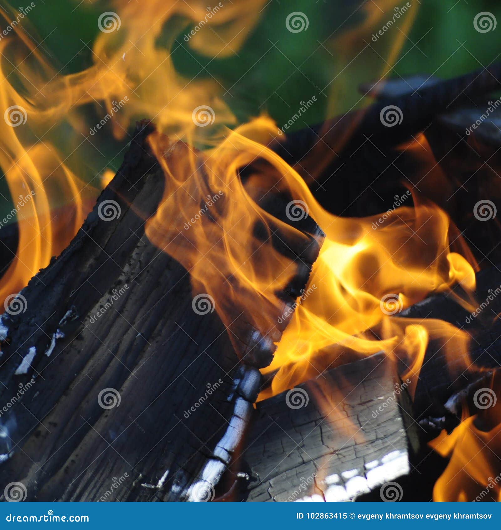Flame Fire Sparks Forest Nature Stock Image - Image of nature, summer ...