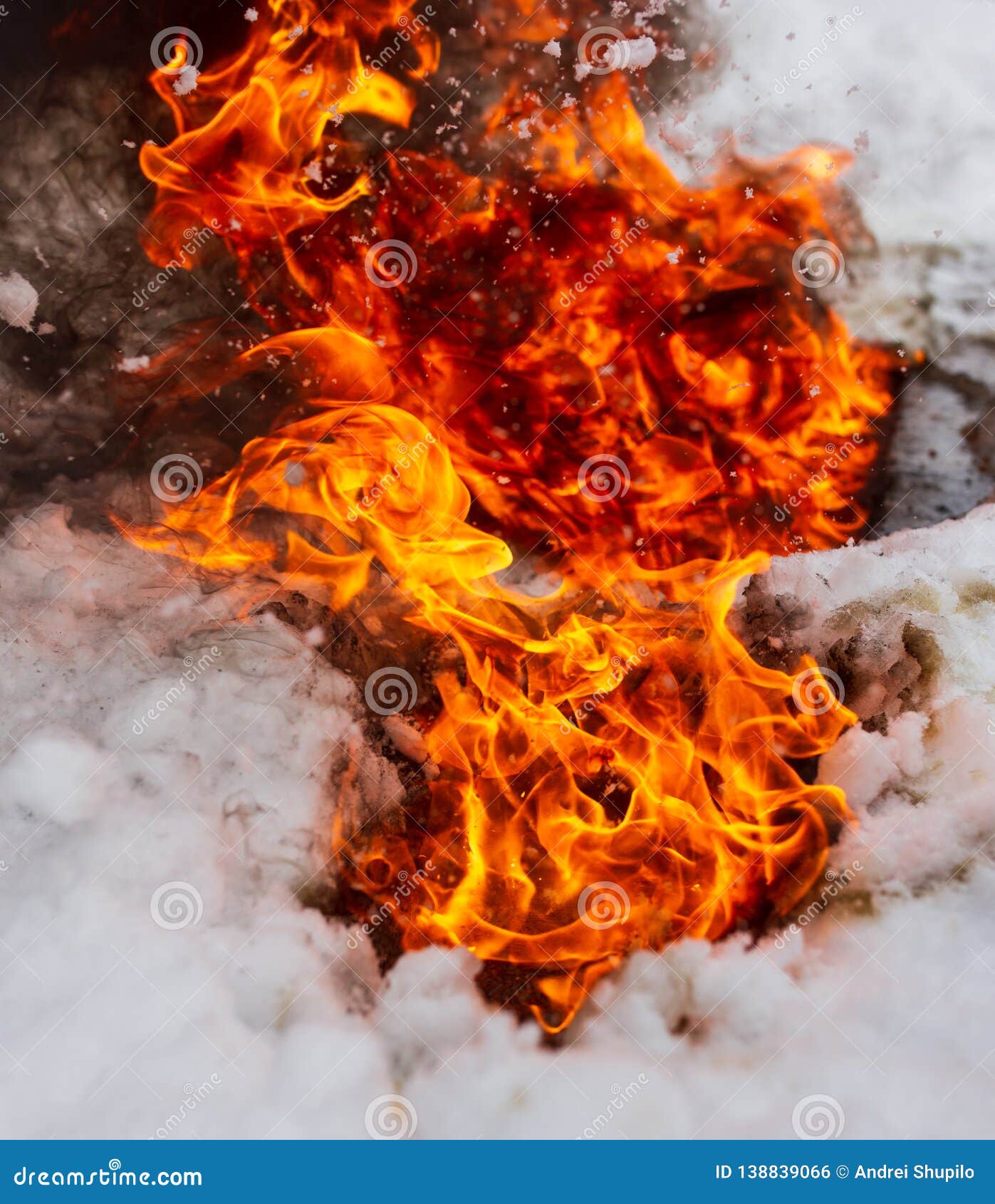 Flame of Fire on White Snow in Winter Stock Photo - Image of disaster ...
