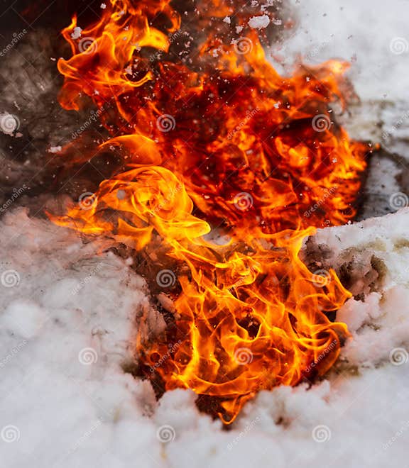 Flame of Fire on White Snow in Winter Stock Photo - Image of disaster ...