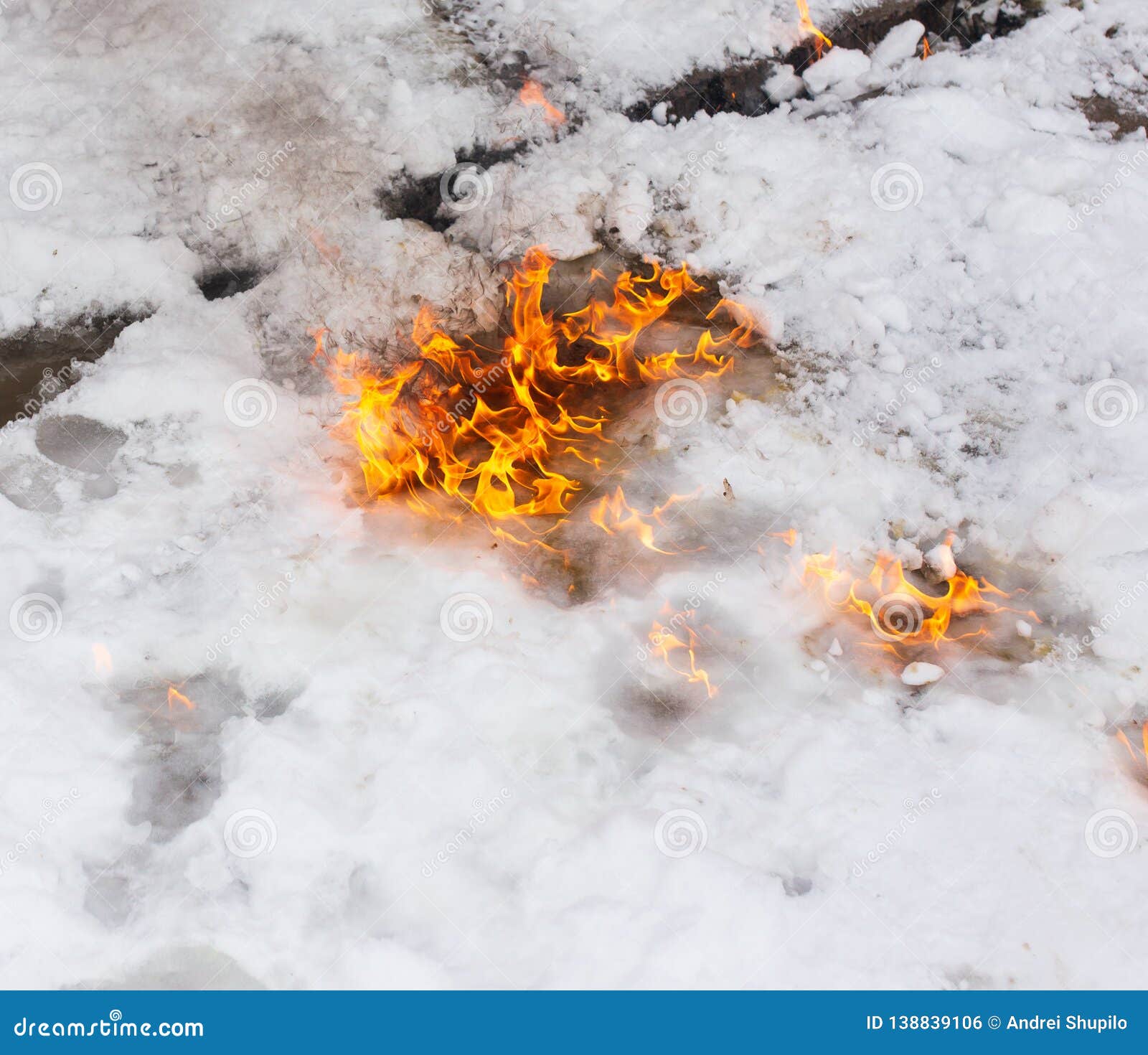 Flame of Fire on White Snow in Winter Stock Photo - Image of nature ...
