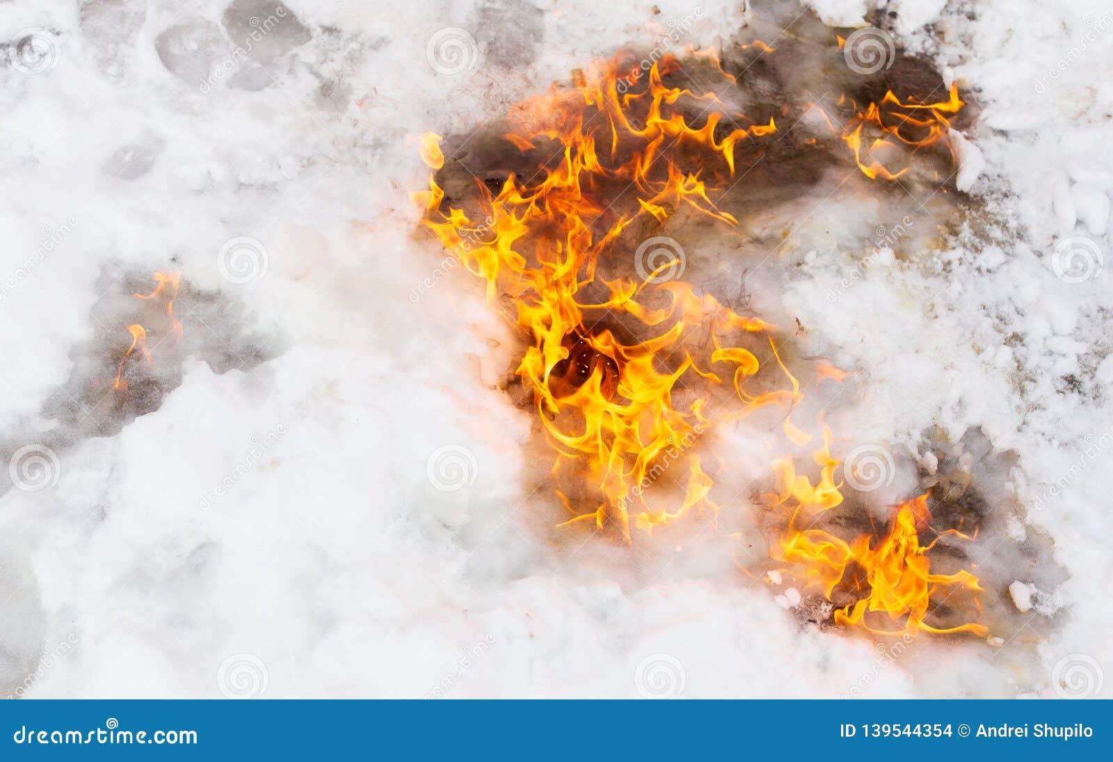 Flame of Fire on White Snow in Winter Stock Photo - Image of disaster ...