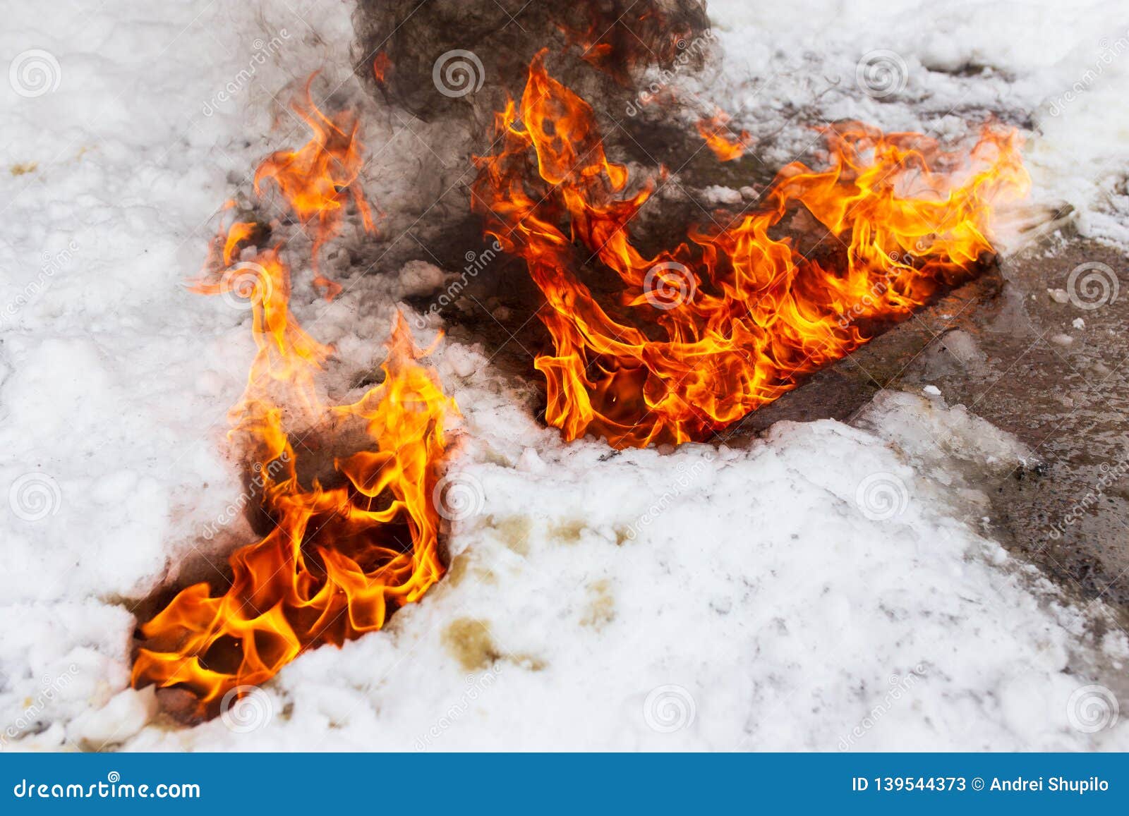 Flame of Fire on White Snow in Winter Stock Image - Image of fire ...