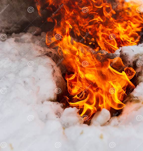 Flame of Fire on White Snow in Winter Stock Image - Image of fuel ...