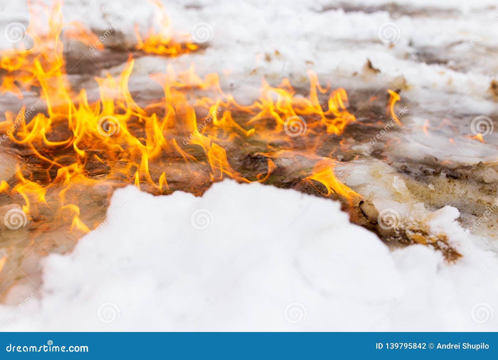 Flame of Fire on White Snow in Winter Stock Photo - Image of water ...