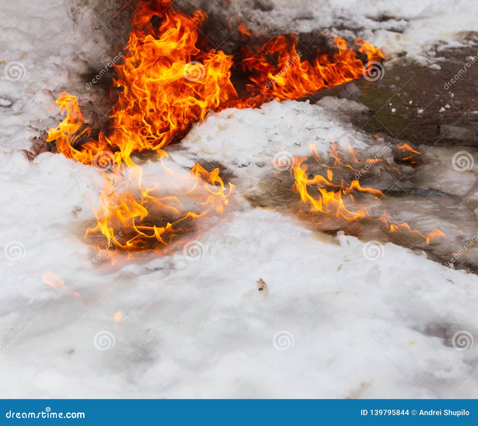 Flame of Fire on White Snow in Winter Stock Photo - Image of winter ...