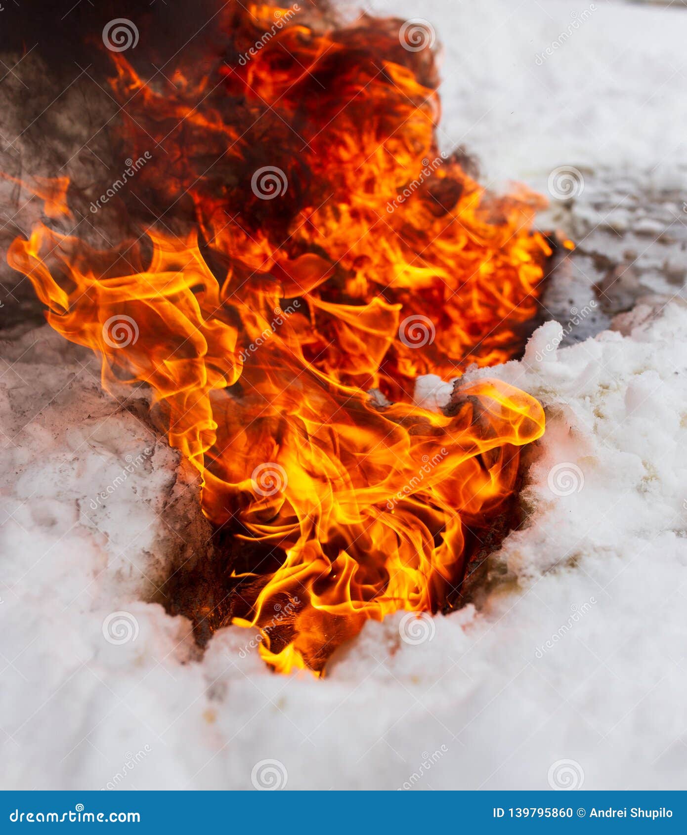 Flame of Fire on White Snow in Winter Stock Photo - Image of flame ...
